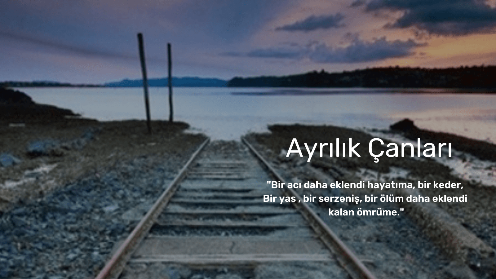 Dimitri-1 - Freedom Combination